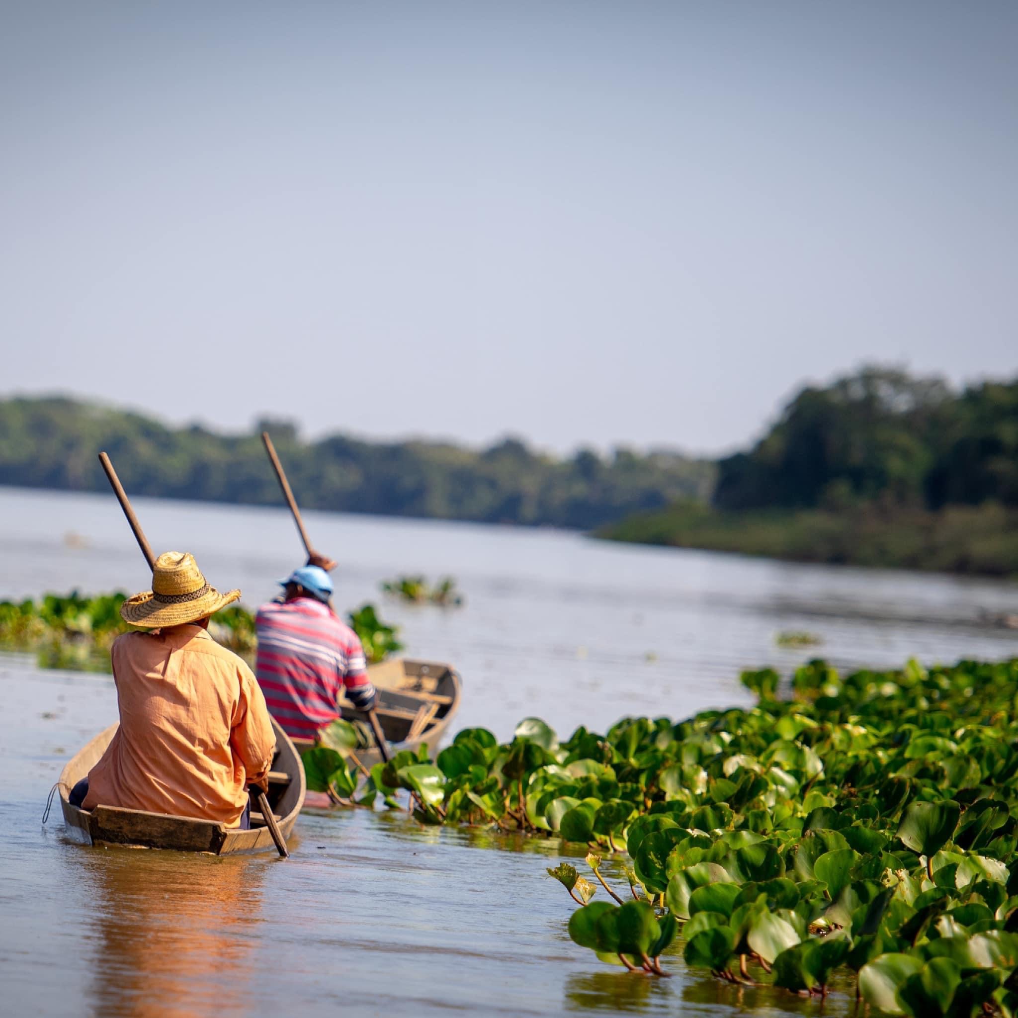 Into the Amazon - Out of Town Expeditions